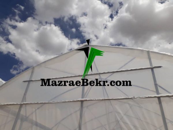 greenhouse locking spring - شرکت‌ گلخانه ساز مزرعه بکر، طراح و ...